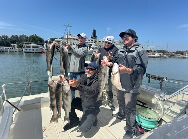 Salmon Fishing Is Back: Your Complete Guide to the 2026 Bay Area Season ...